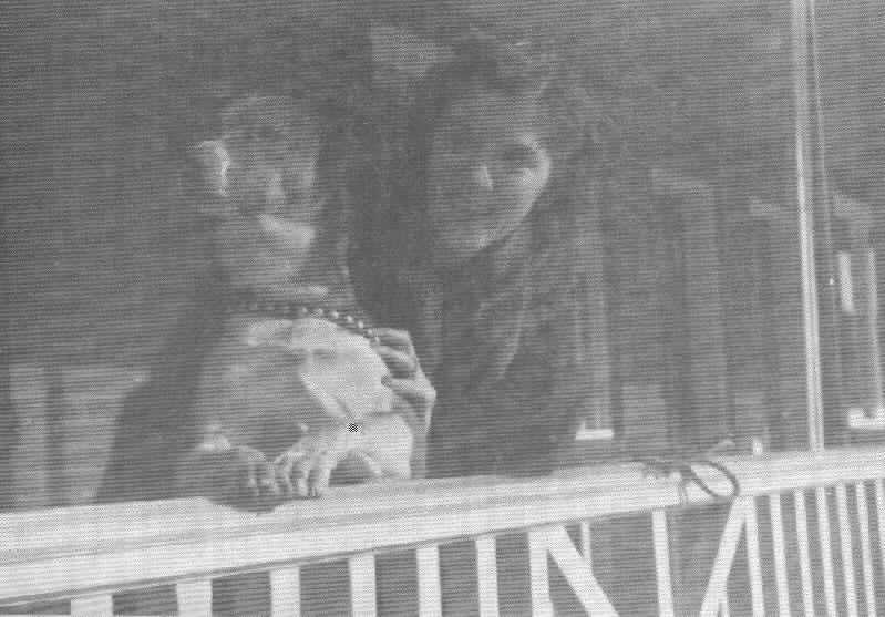 The Beverly Gray Mystery Stories by Clair Blank